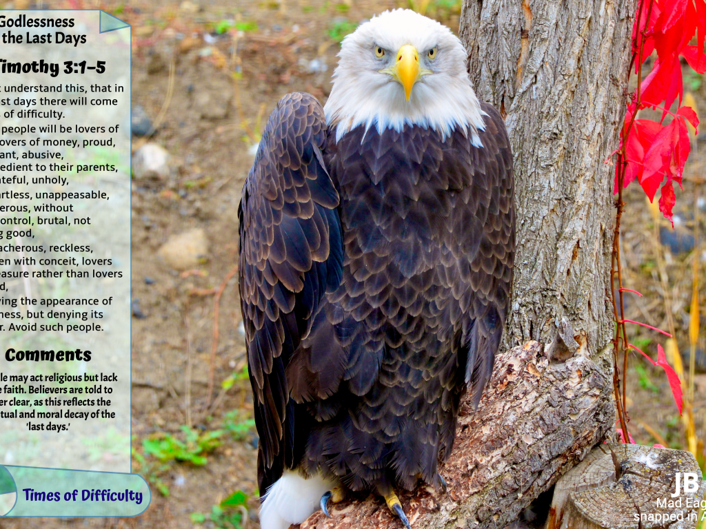 (17) ~ Joshua 1:8-9 – Light in truth